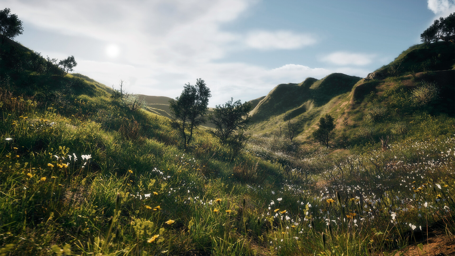 ArtStation - Timeless Field