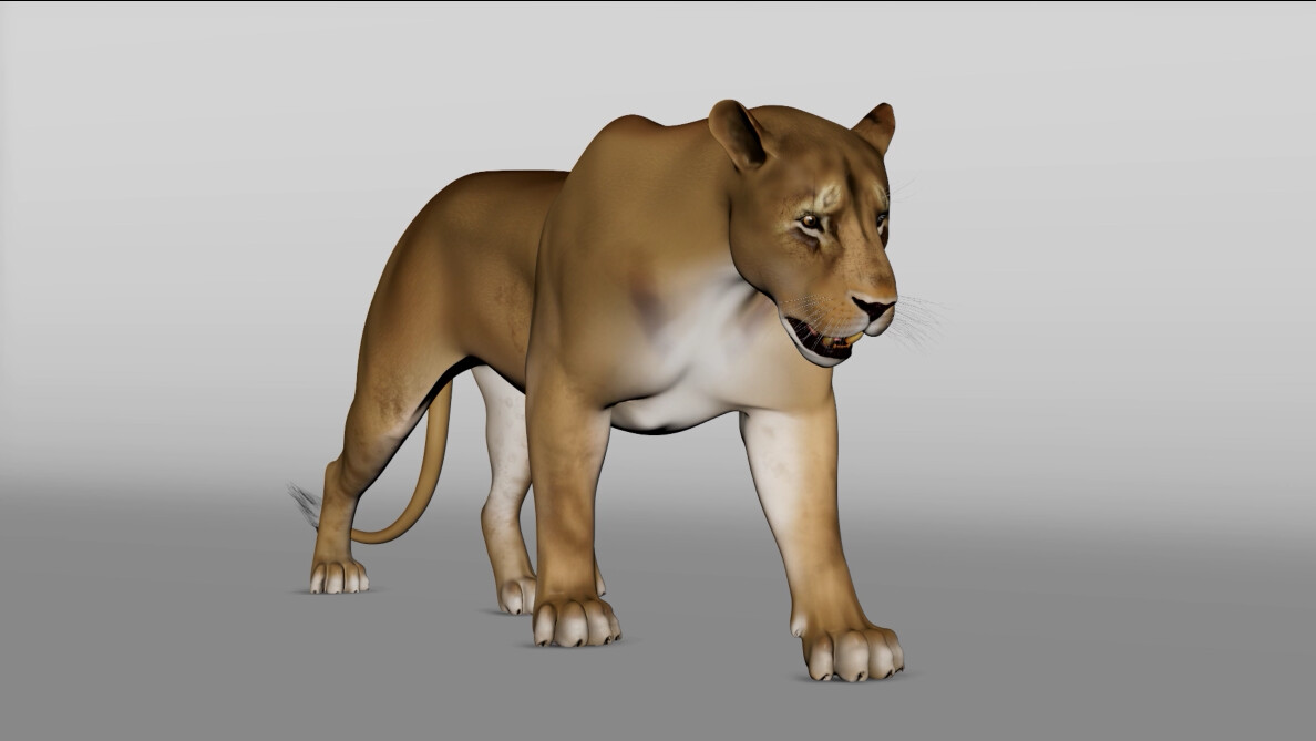 ArtStation - Lion Walk Cycle