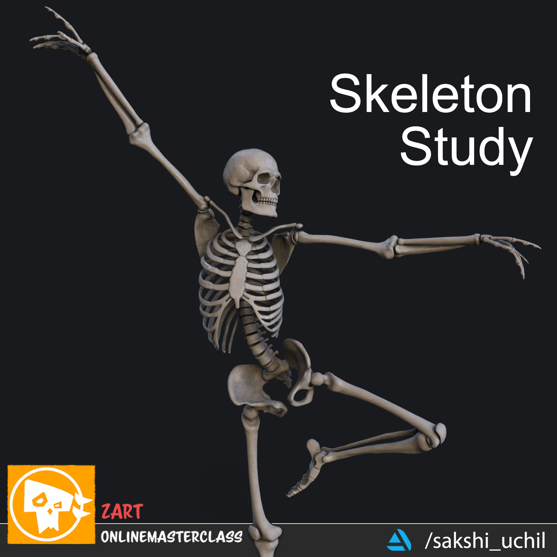 ArtStation - Skeleton Study