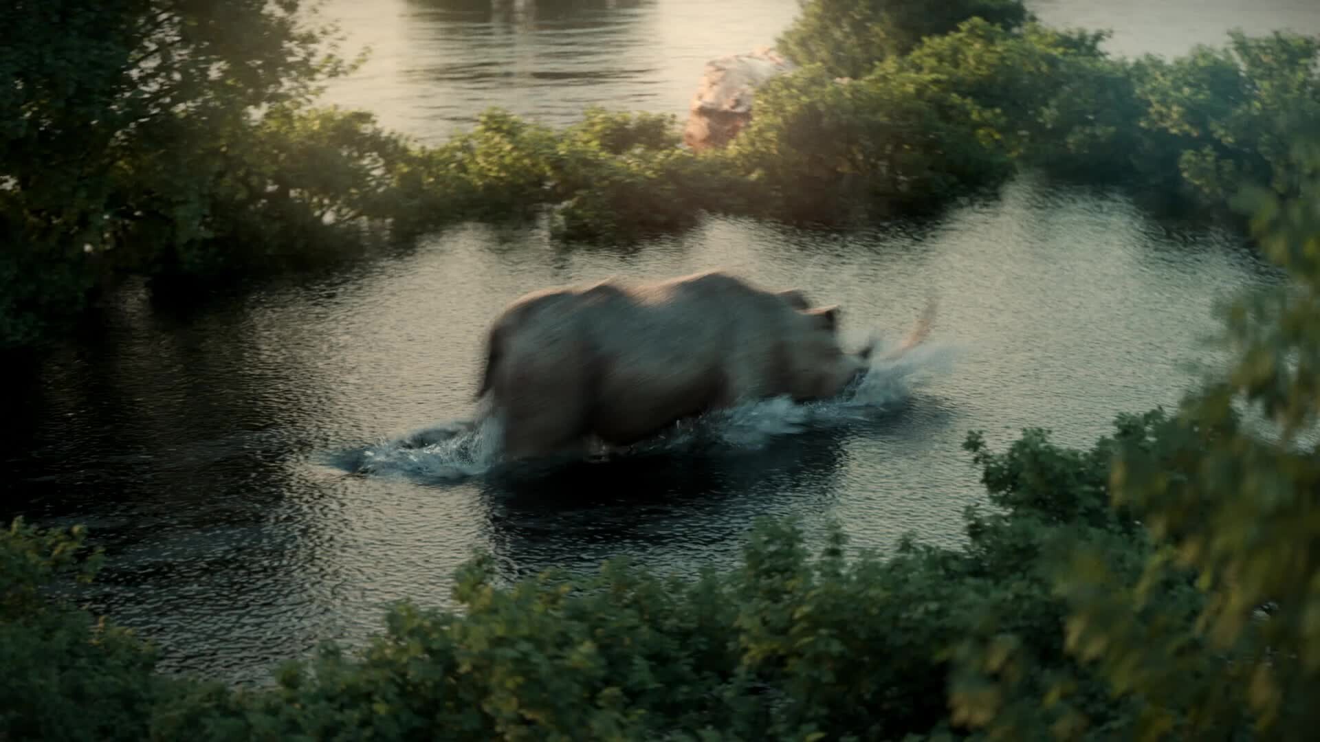 ArtStation - RHINO HOUDINI WATERSIM ,RENDERED IN BLENDER