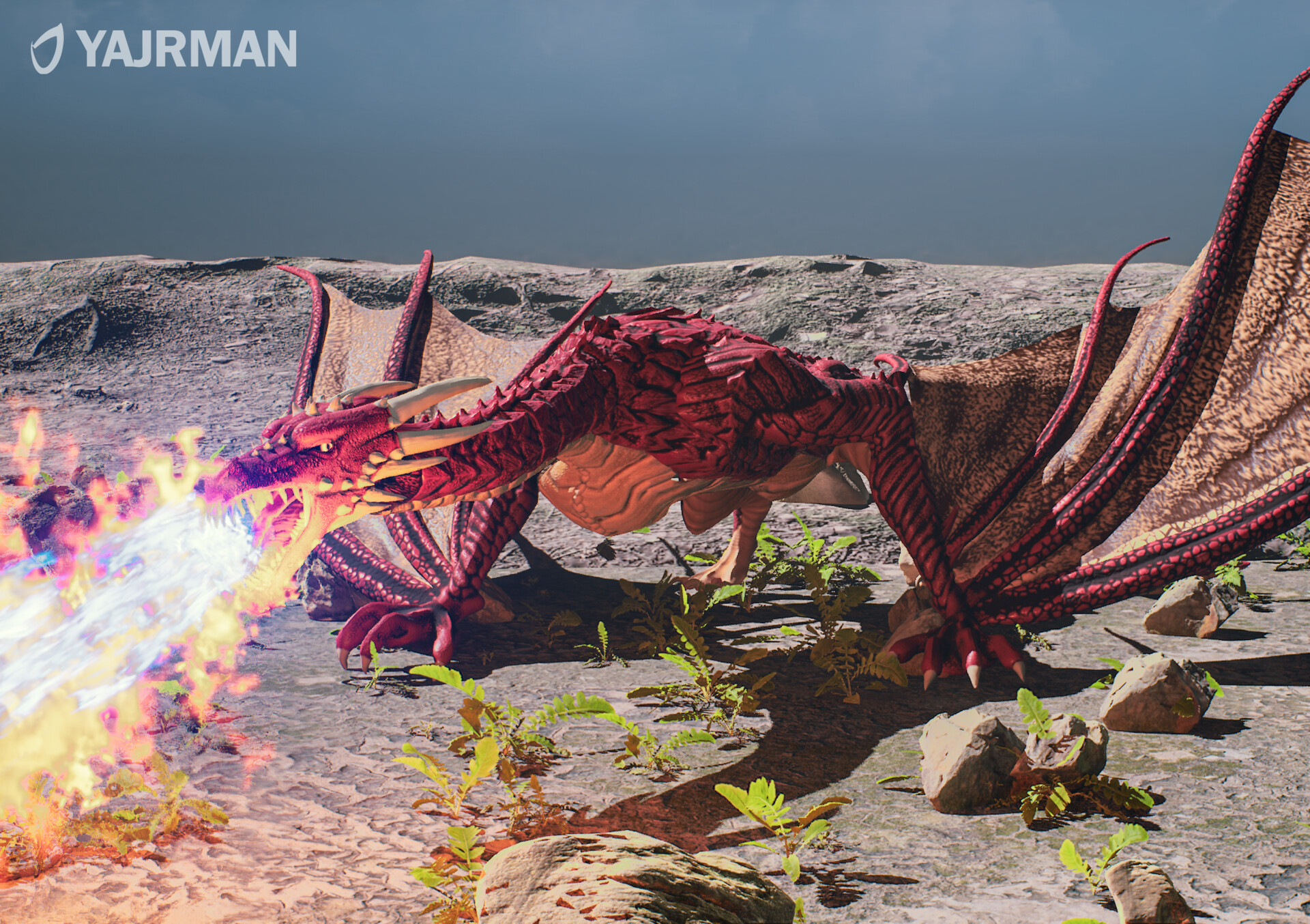 ArtStation - Falbyr - The Emberwing Wyvern of Lumenforge