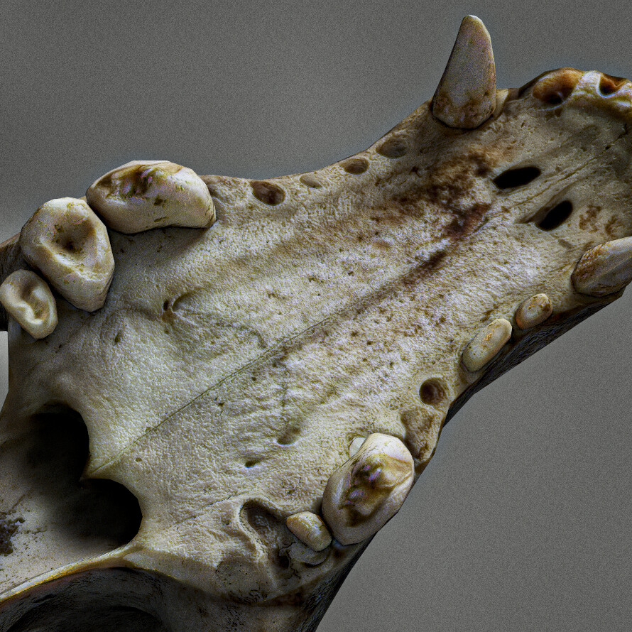 ArtStation - Quick Photogrammetry Study