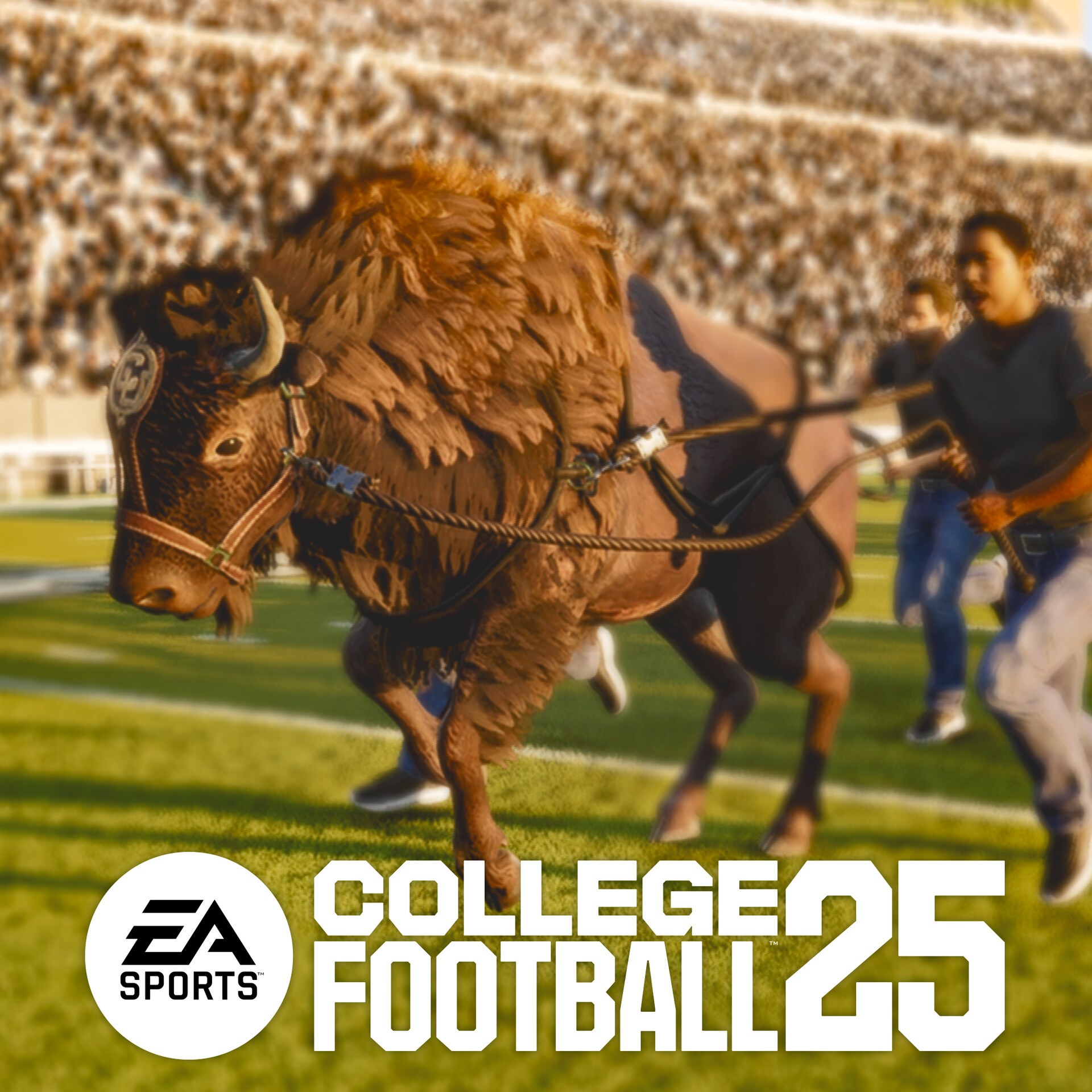 Alyssa Evensen - Colorado Ralphie EA