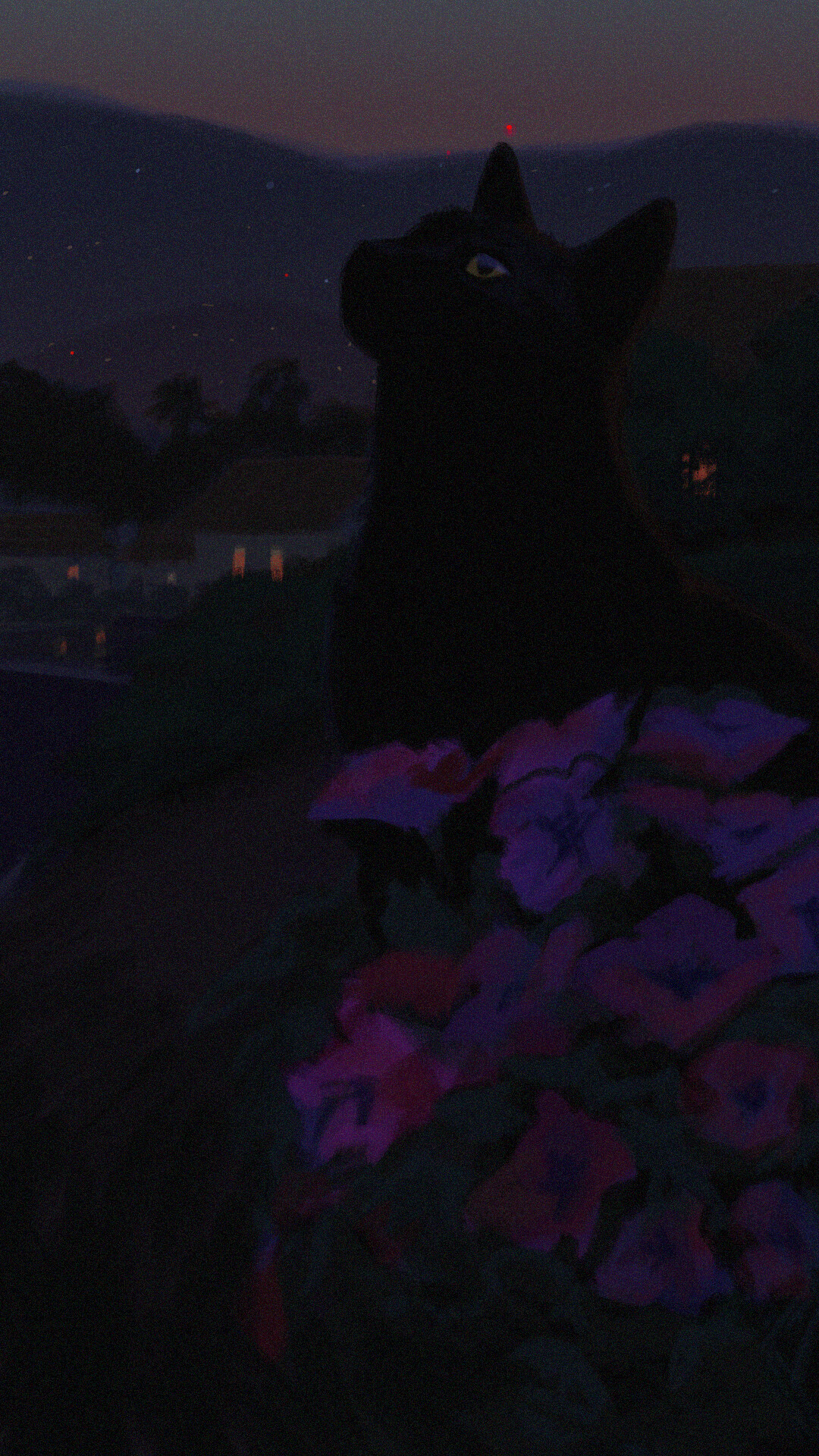 ArtStation - A Dream - Color Script