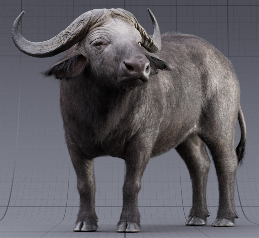 ArtStation - Buffalo