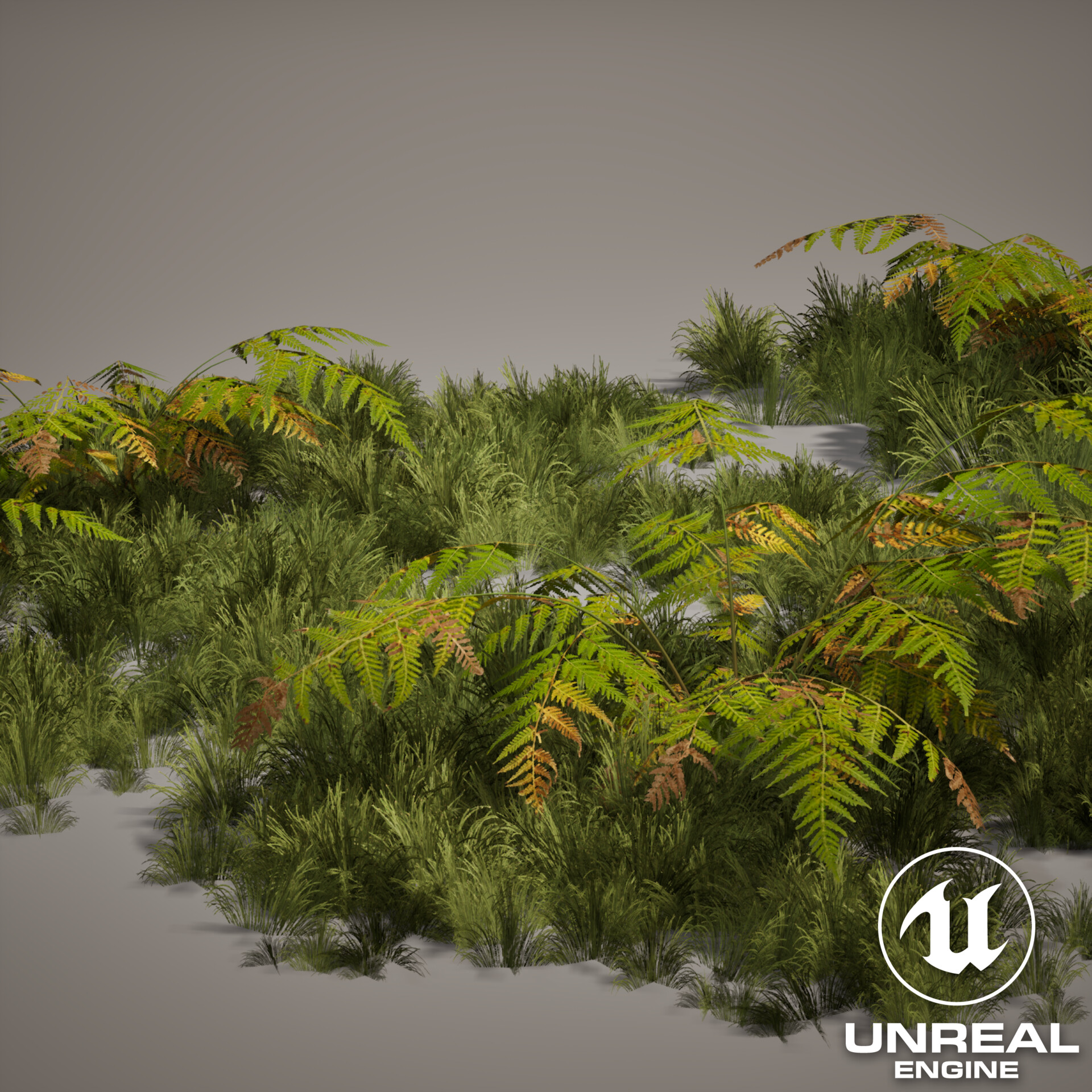 ArtStation - Speedtree Exercise