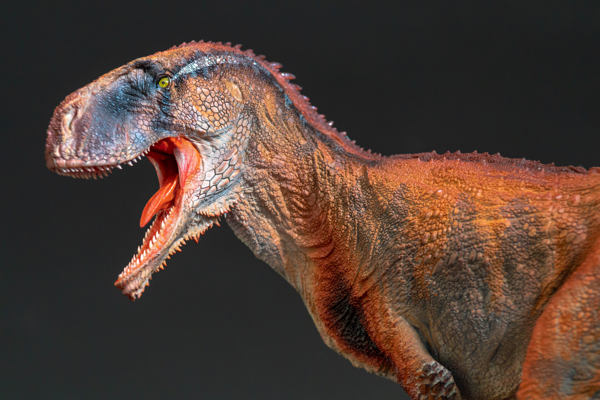 ArtStation - Spectrovenator ragei