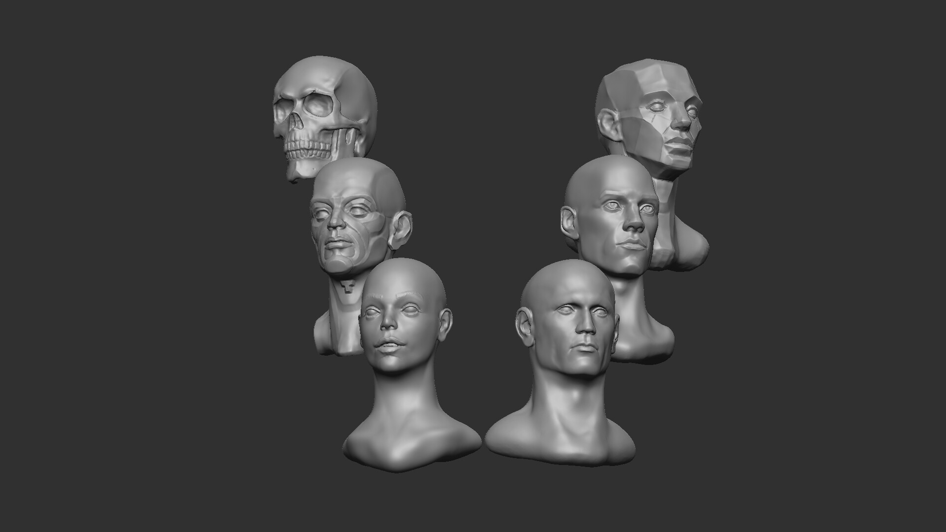 ArtStation - Head anatomy study 01