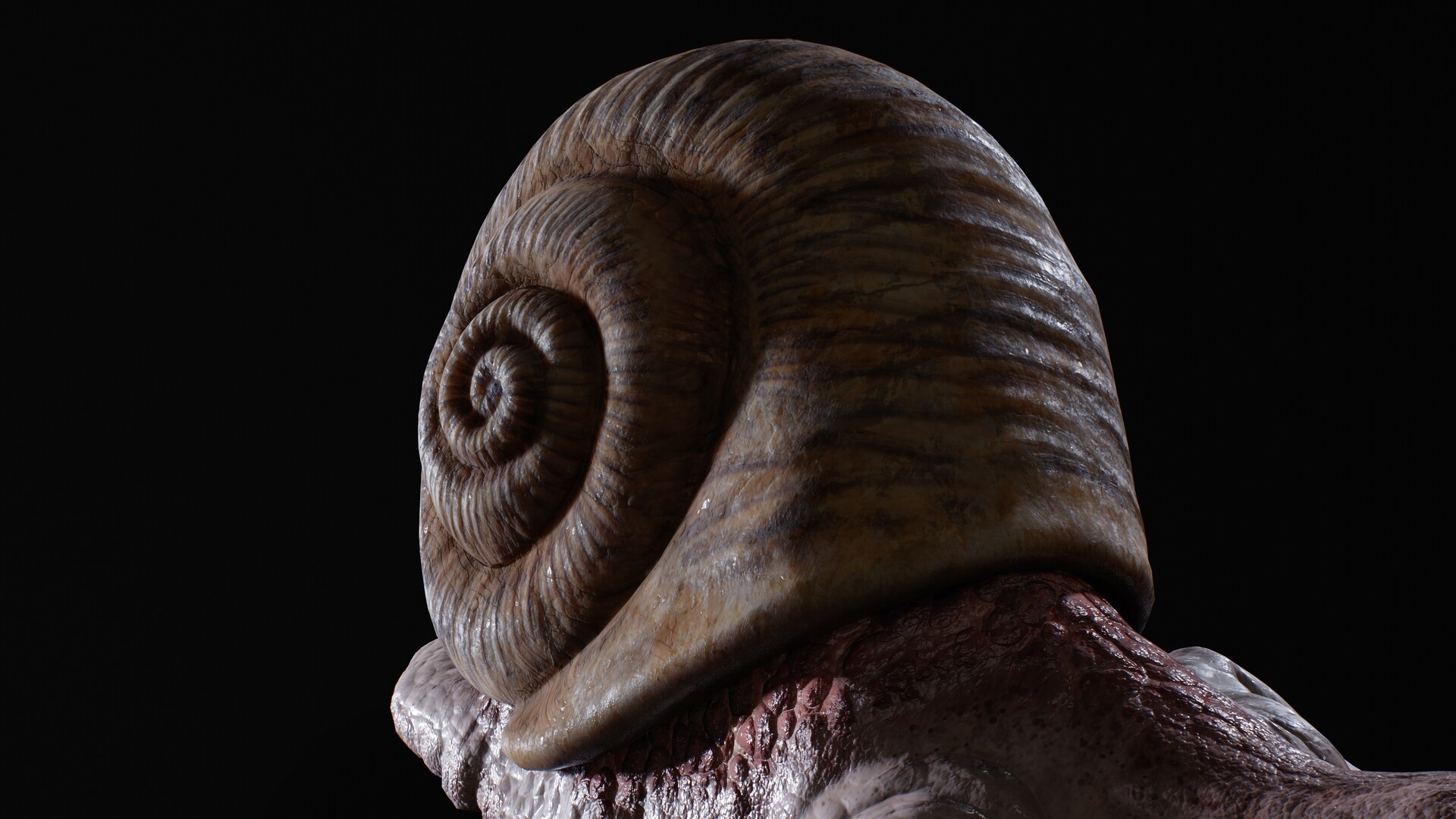 ArtStation - SNAIL