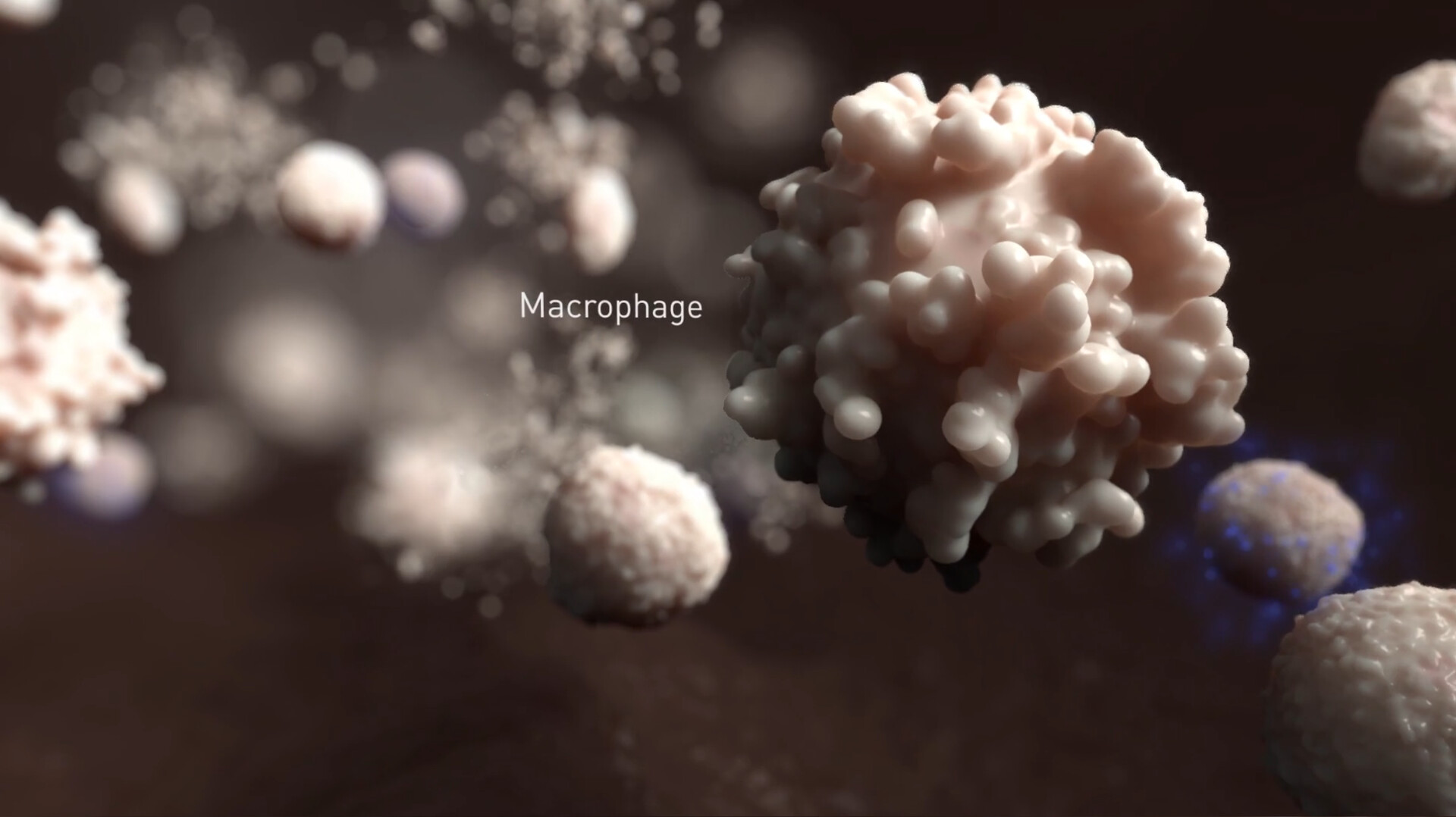 ArtStation - SLE Animation (Systemic Lupus Erythematosus)