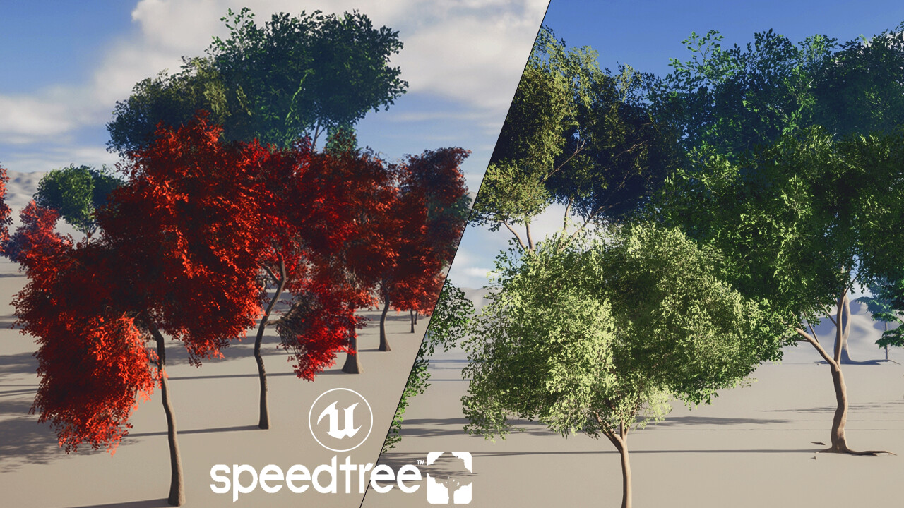 ArtStation - Semi-Stylized, Beach, Hickory, and Spruce Trees Showcase
