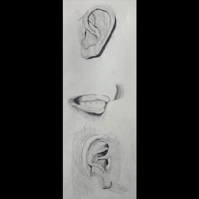 ArtStation - Ears & Mouth