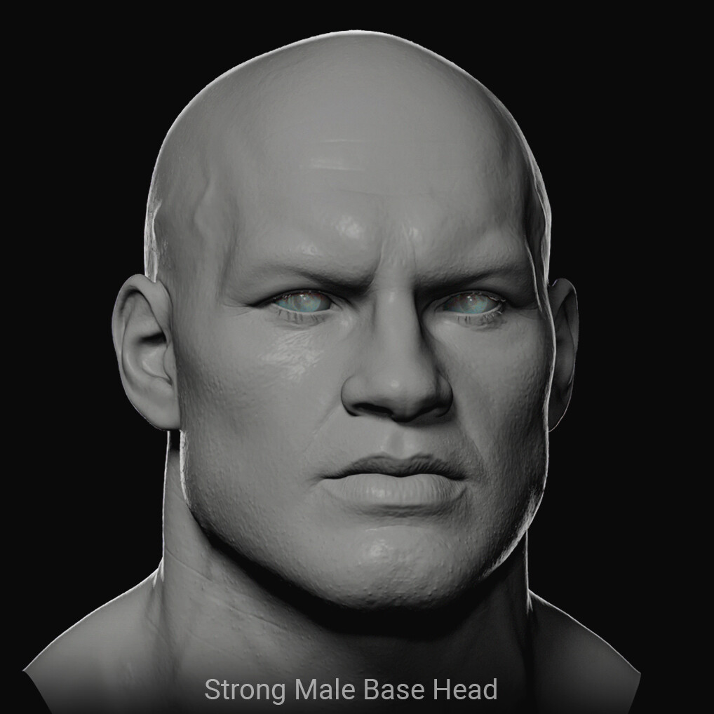 ArtStation - Strong Male Base Head