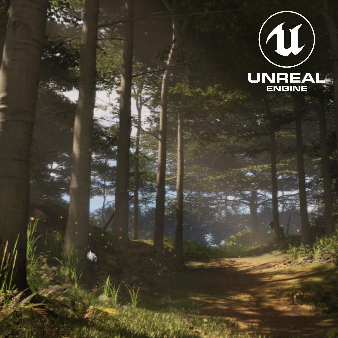 ArtStation - The Unveiled Forest