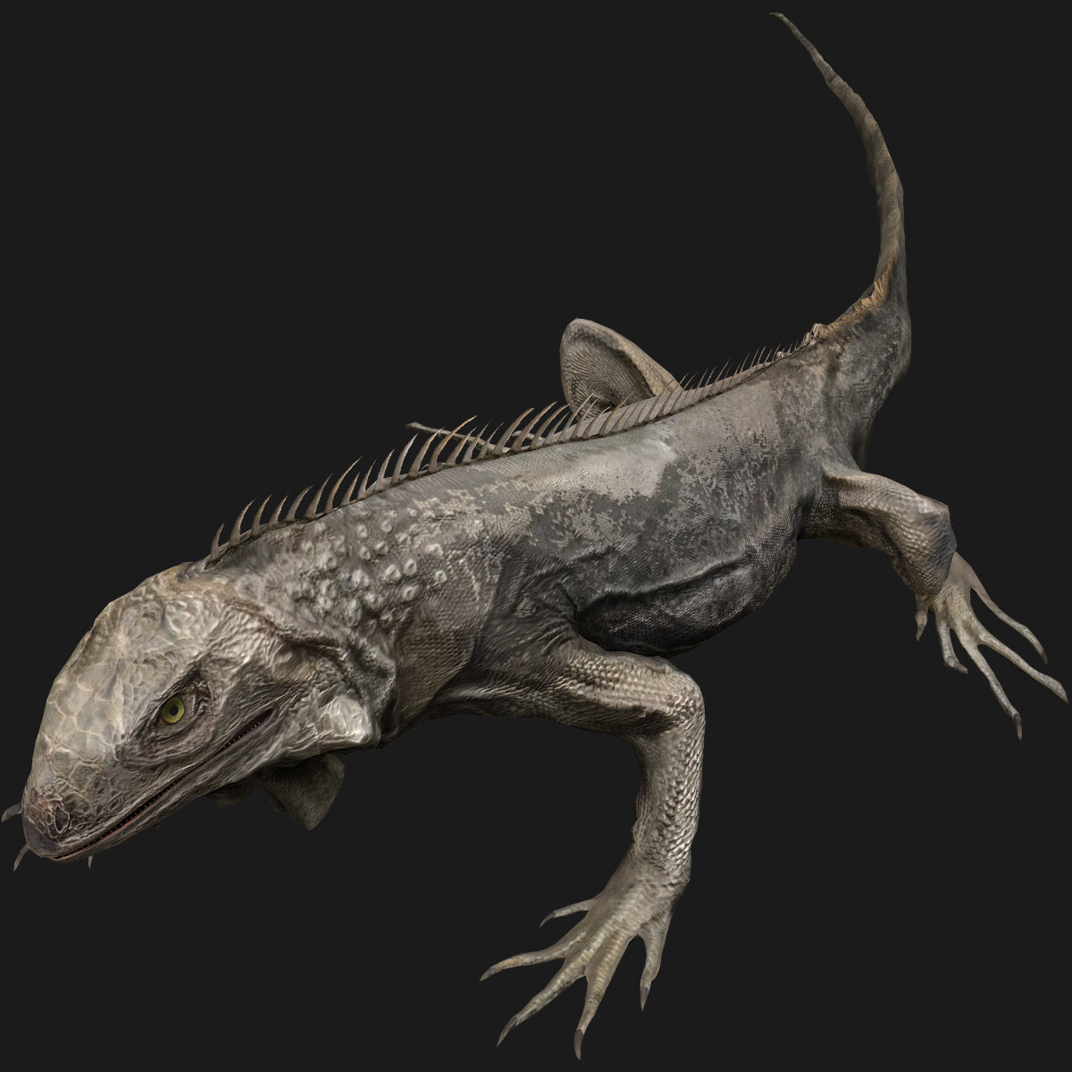 ArtStation - Iguana Reptile Animated