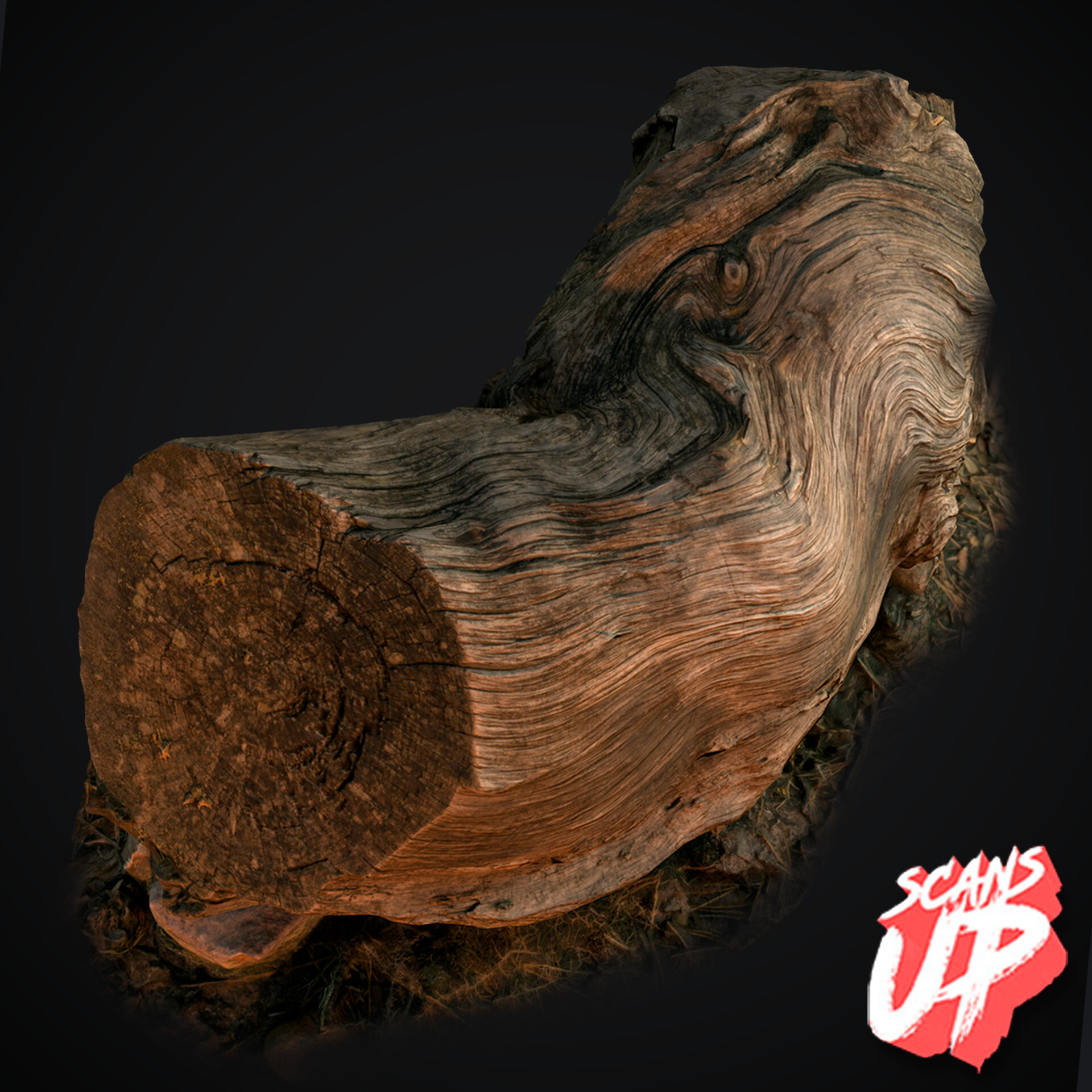 ArtStation - ScansUp: Dry Stump