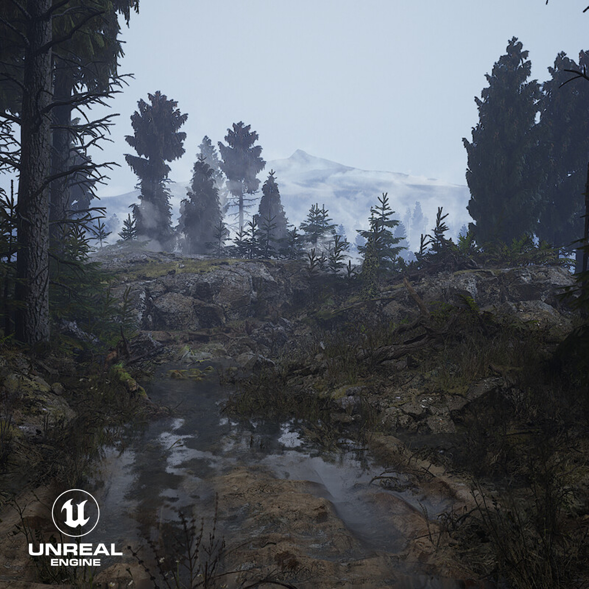 ArtStation - Forest Environment