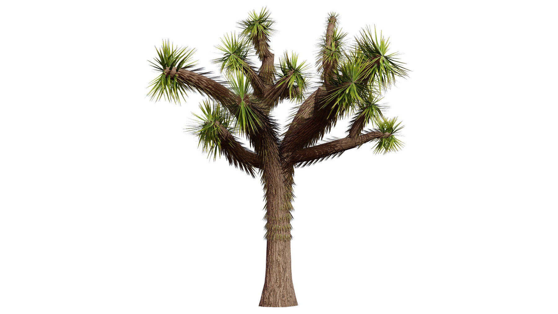 ArtStation - Joshua Tree