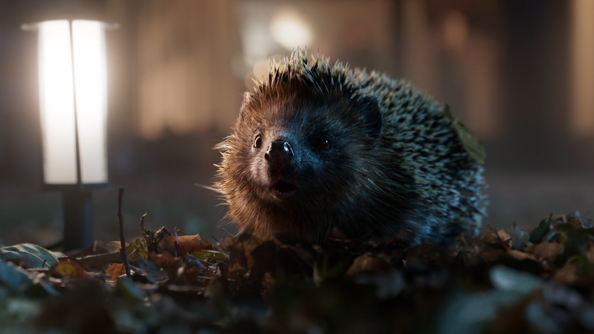 ArtStation - Hedgehog grooming