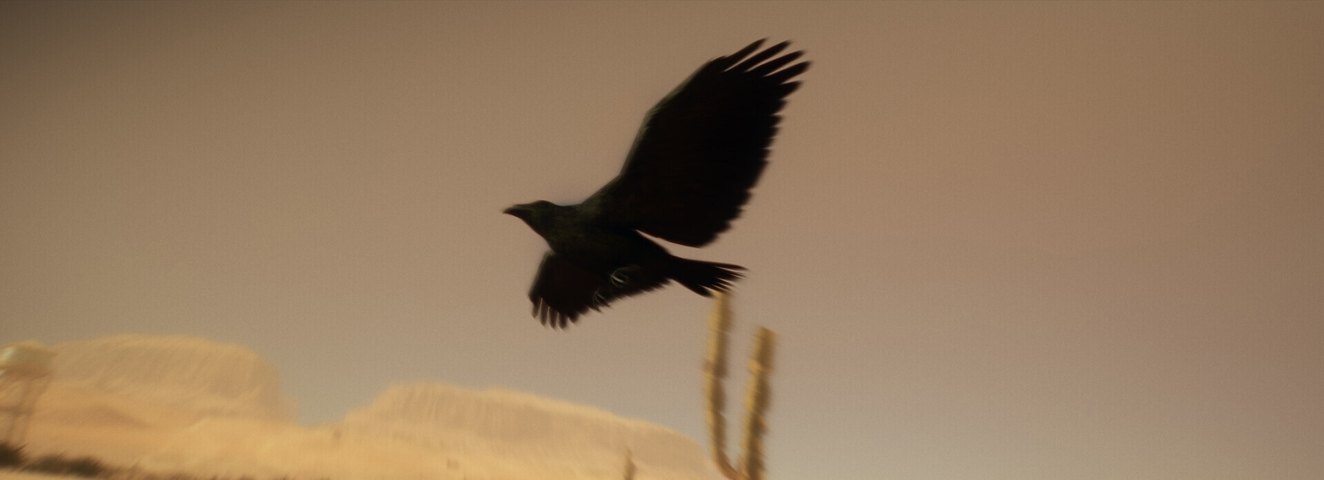 ArtStation - No Crows on the road