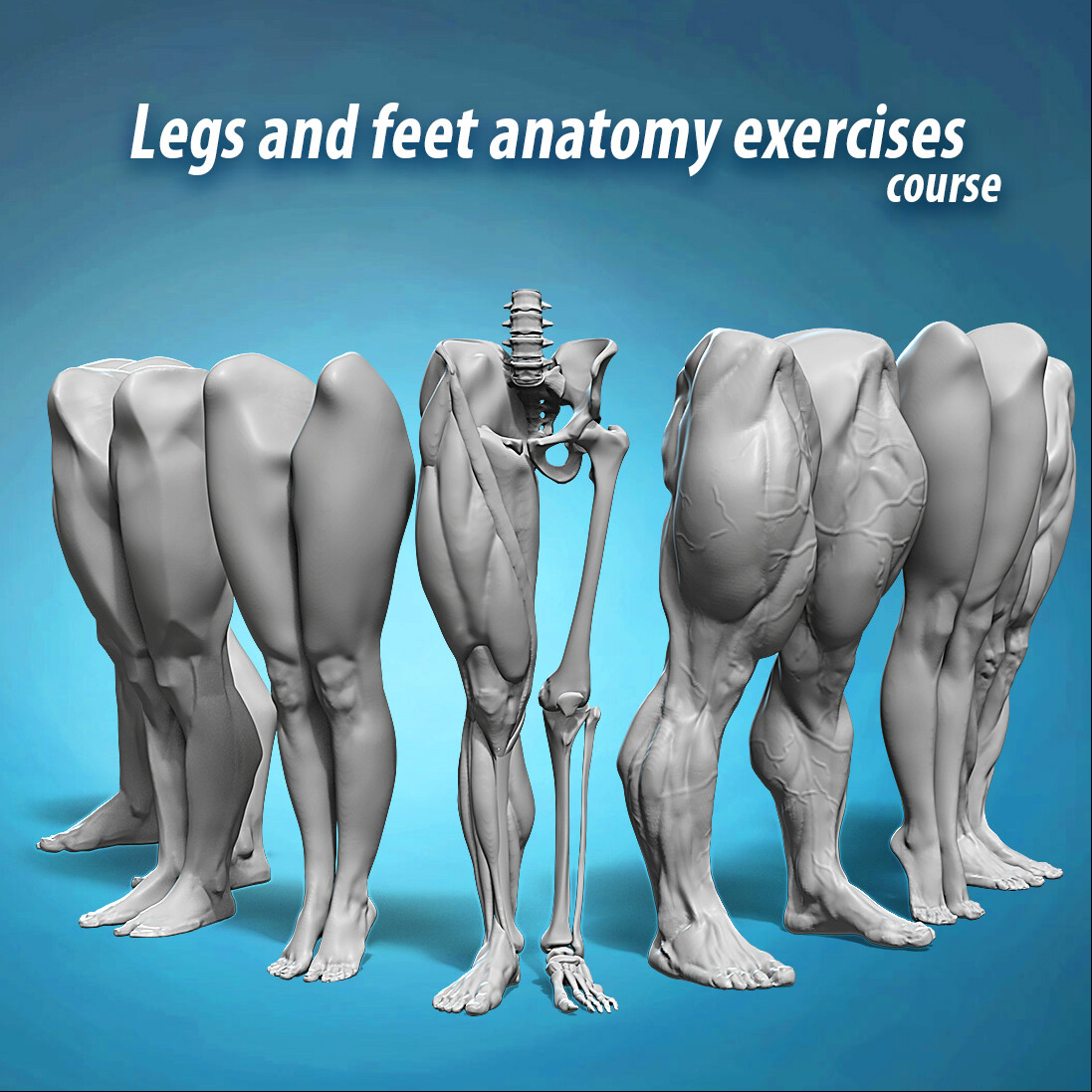 ArtStation - Legs and feet anatomy course