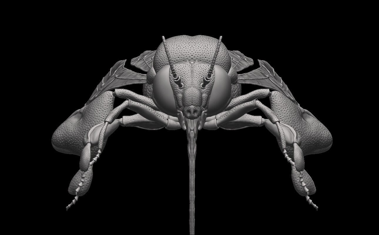 ArtStation - Euglossa Bee (WIP)