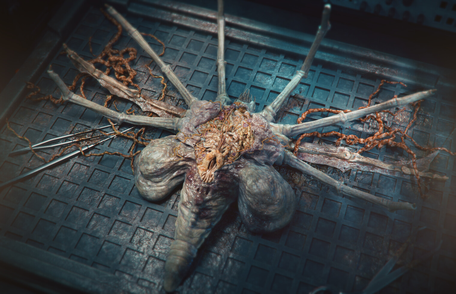 ArtStation - Alien Facehugger Dissection