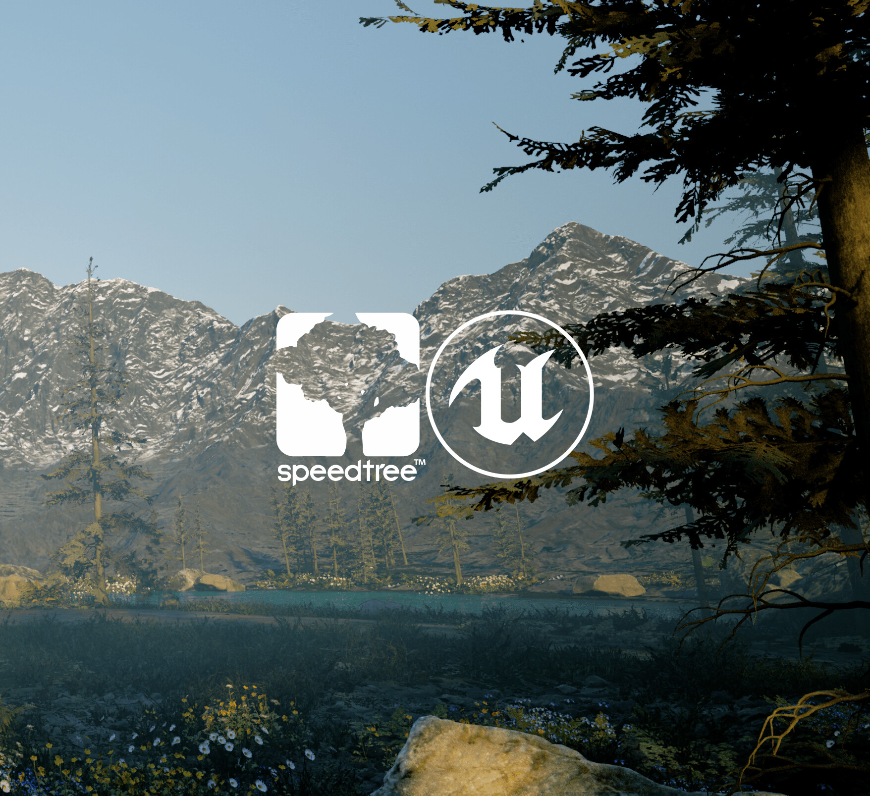 ArtStation - Alpine Study