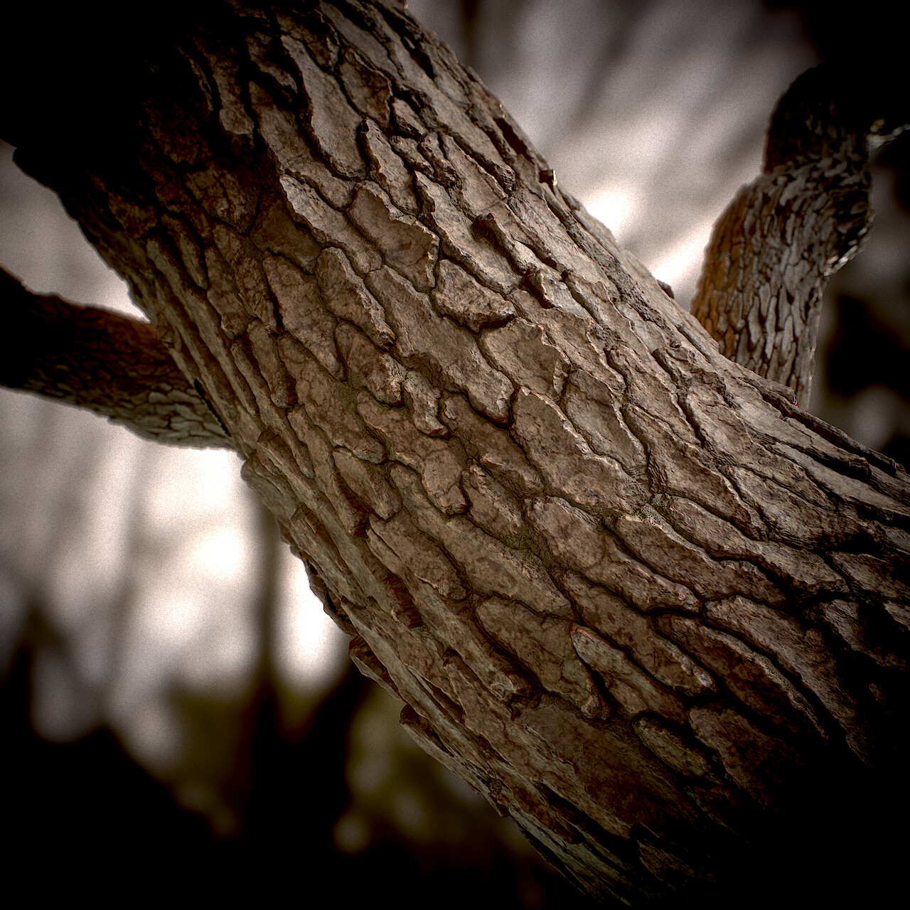 ArtStation - Tree Bark