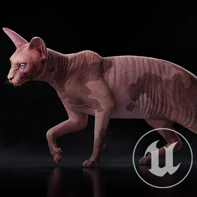 ArtStation - Sphynx- Collaborative Project