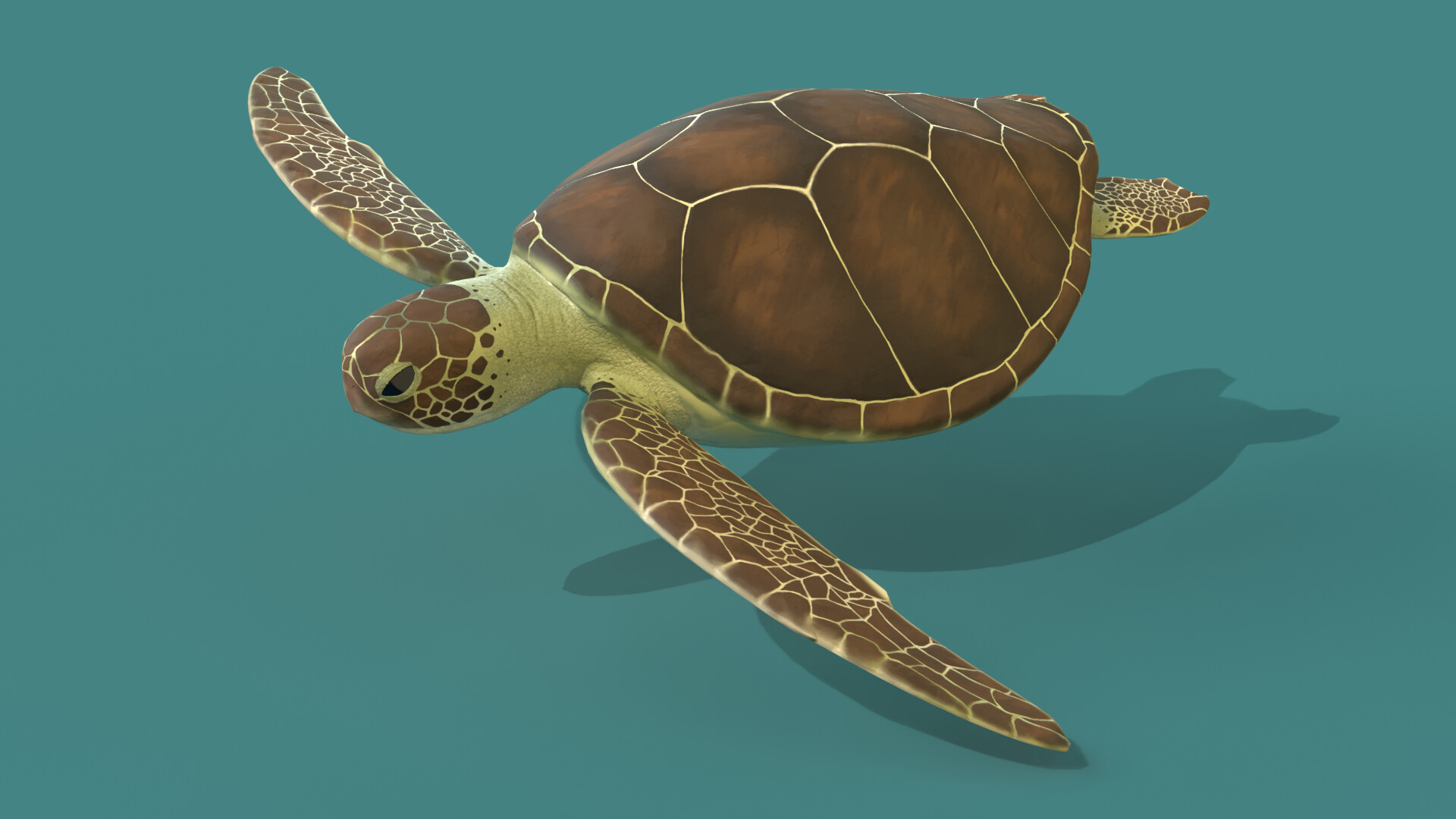 ArtStation - Sea Turtle Animation