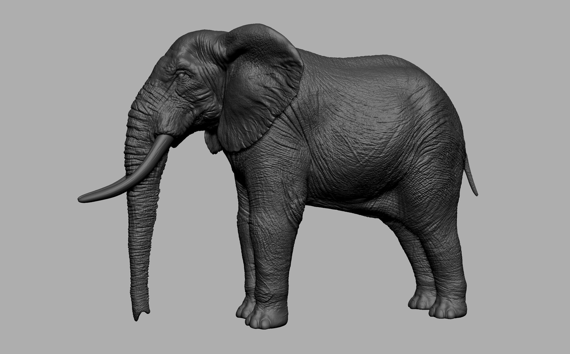 ArtStation - Elephant