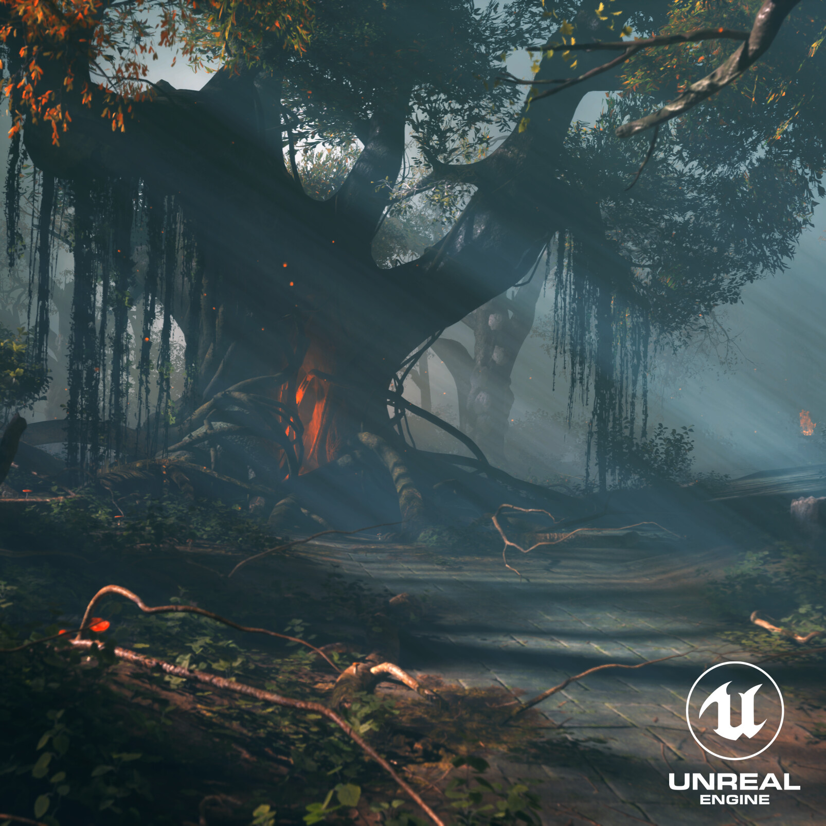 ArtStation - The Ancient Forrest