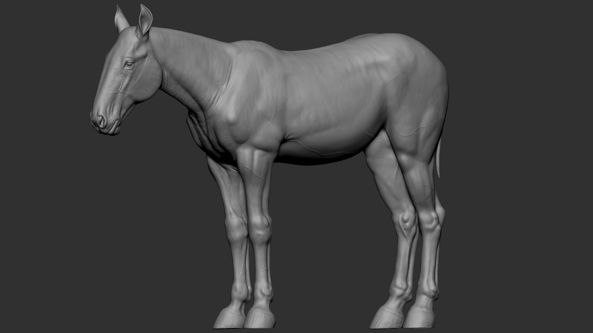 ArtStation - Foal Model for Budweiser Super Bowl Commercial | The Mill