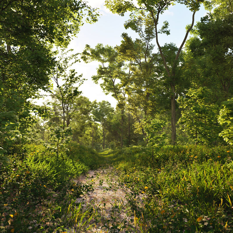ArtStation - Broadleaf + Maple Trees Biome | UE 5.4 | Ultra Realistic Wind