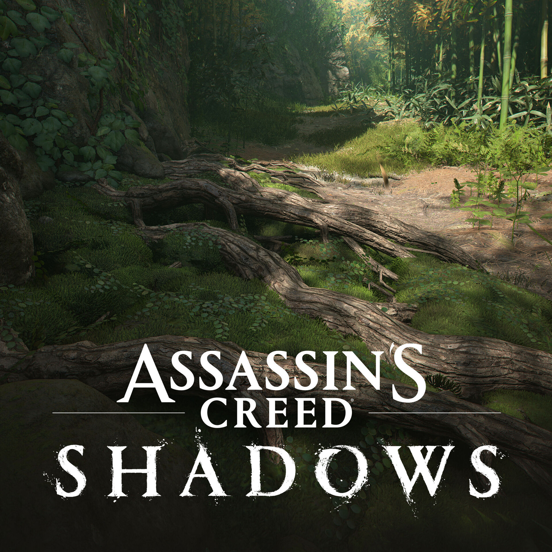ArtStation - Assassin's Creed Shadows - Roots and Moss assets
