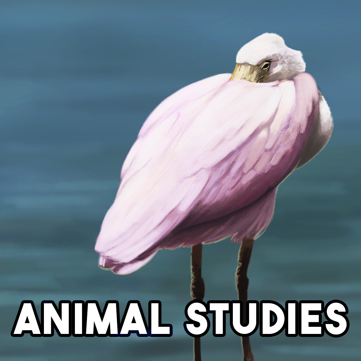 ArtStation - Animal Studies Collection