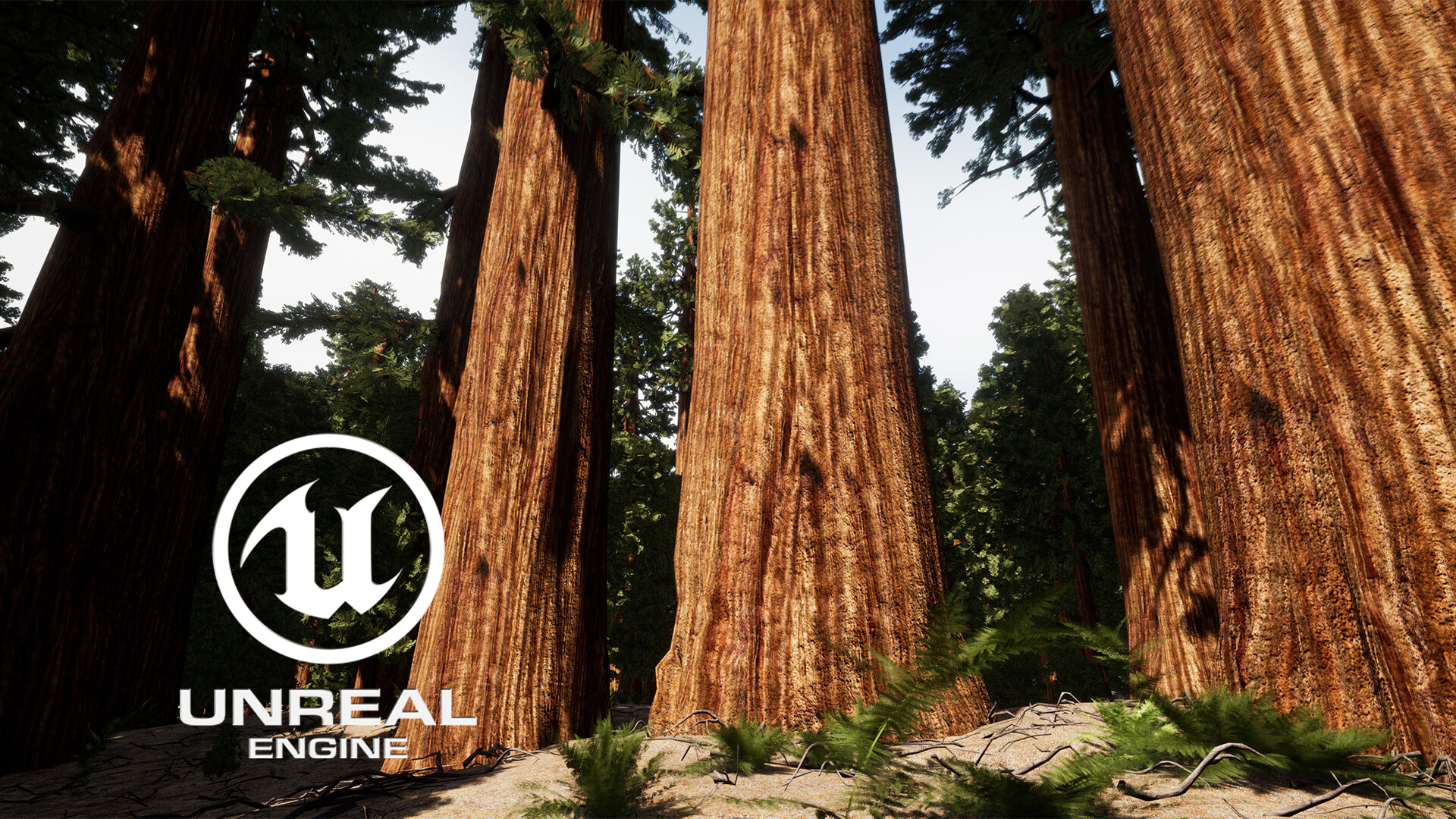 ArtStation - Redwood Giant Sequoia Tree