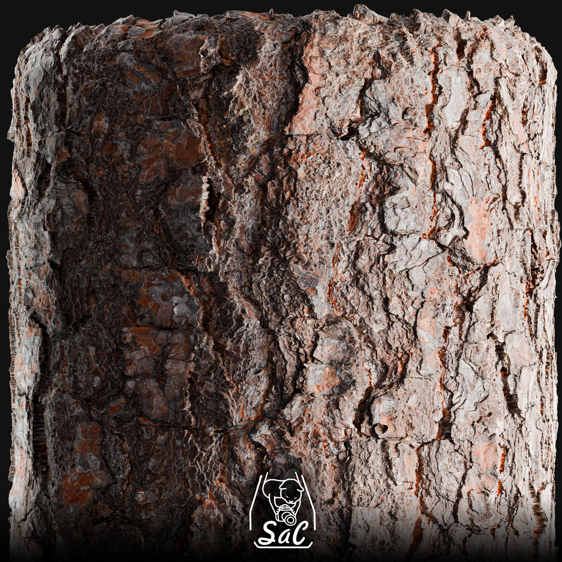 ArtStation - High quality 3d photogrammetry scan seamless withered pine tree bark materials vol2