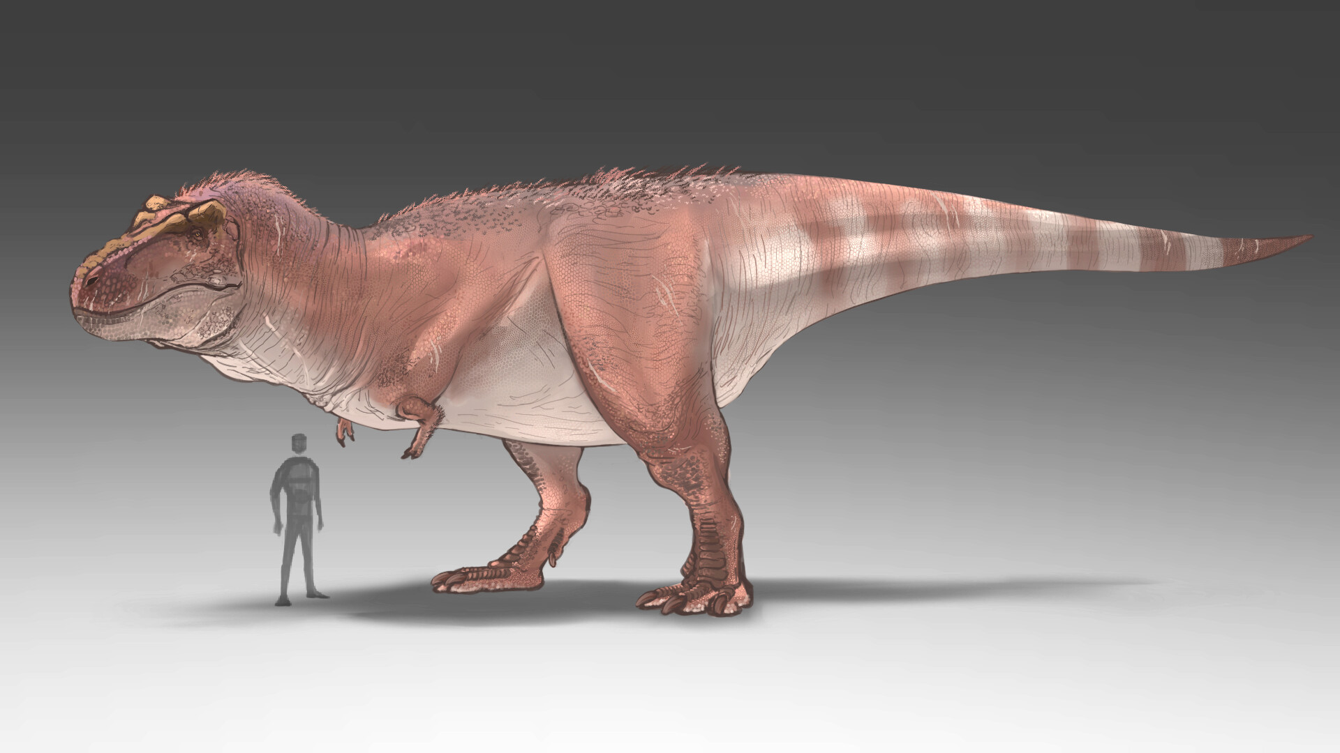 ArtStation - Tyrannosaurus-Rex size representation
