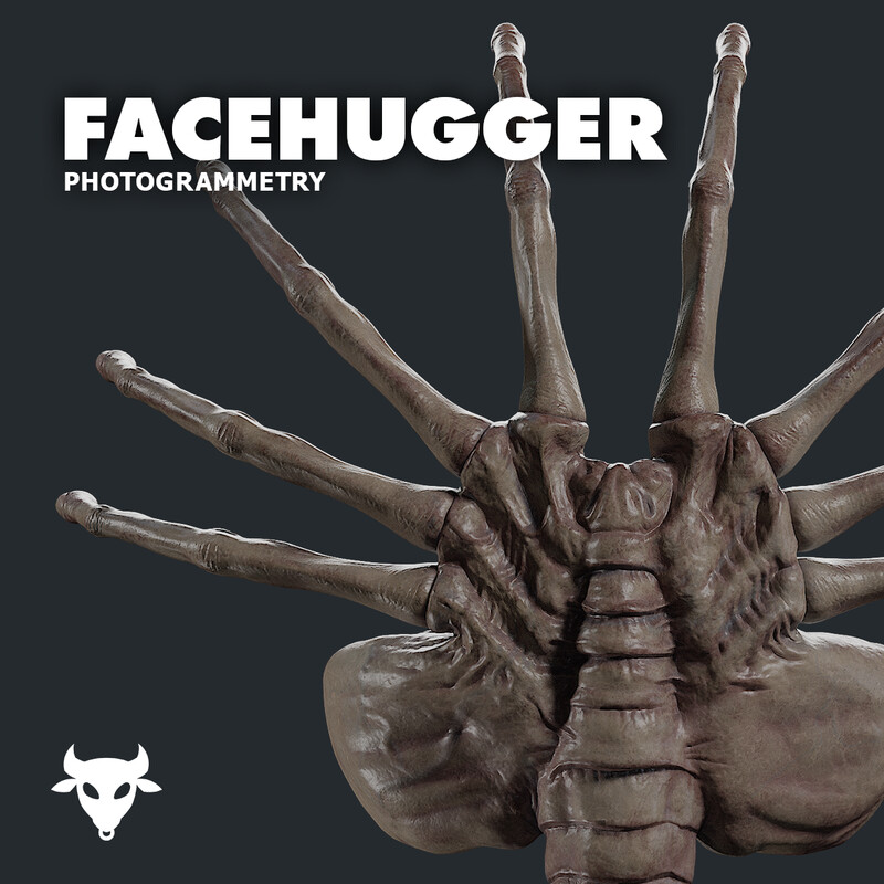 MF3D - The art of Scott Hammond