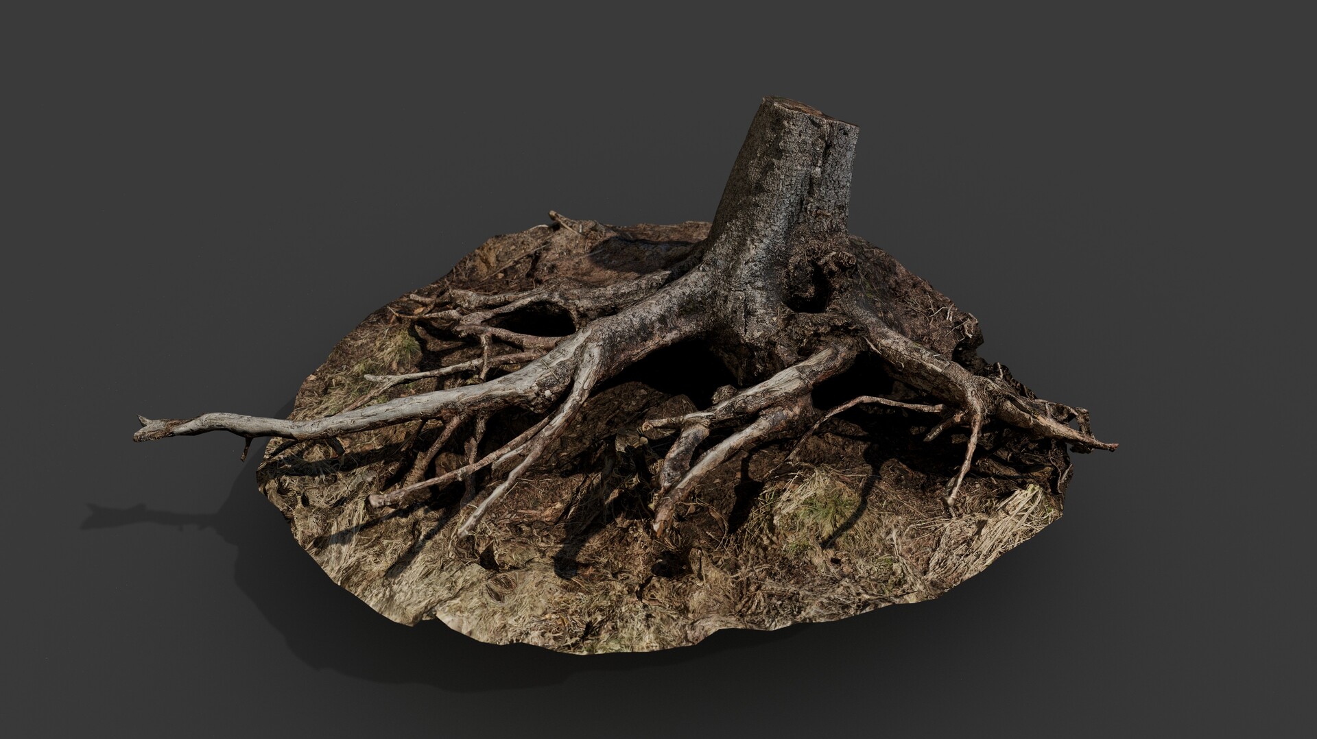 ArtStation - Photogrammetry