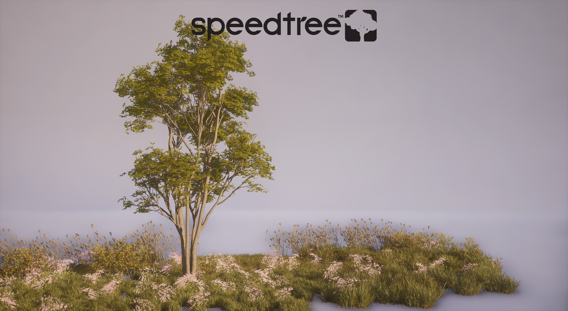 ArtStation - Vegetation (Tree Reed Grass)
