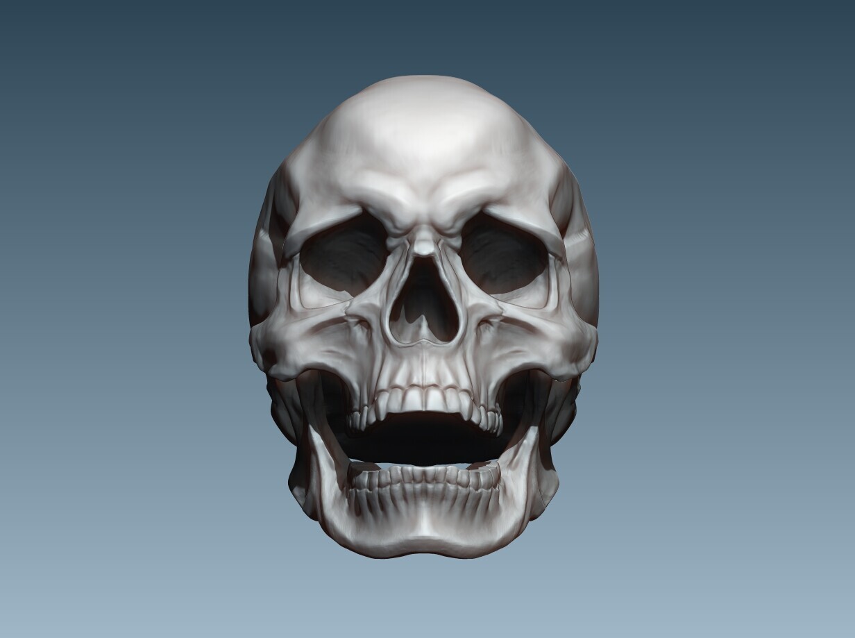 ArtStation - A skull practice