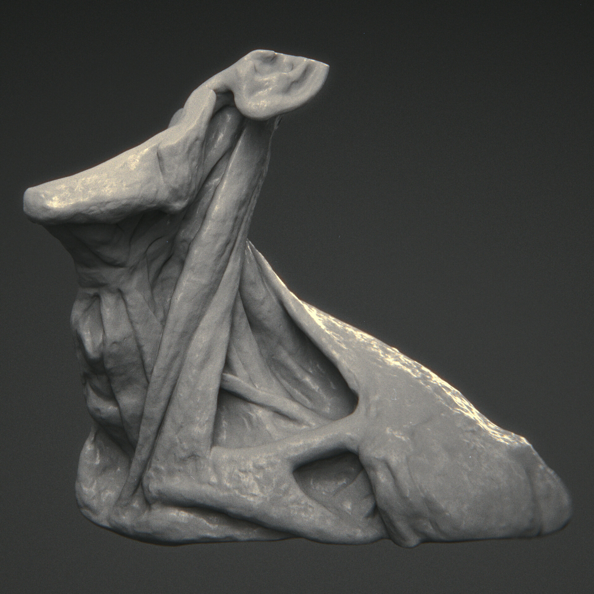 ArtStation - superficial_neck_dissection_cast