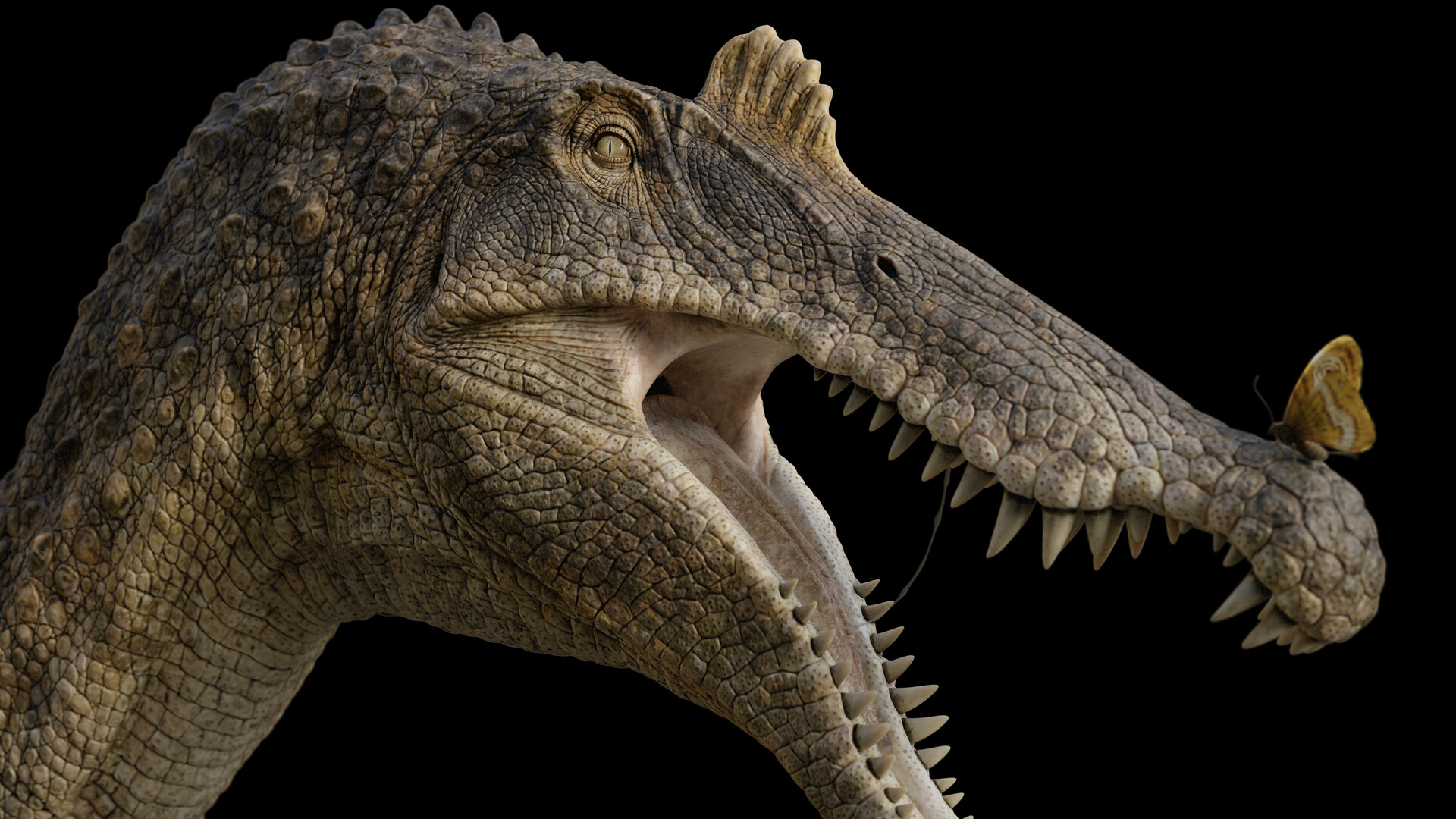 ArtStation - Spinosaurus and butterfly- bust reconstruction