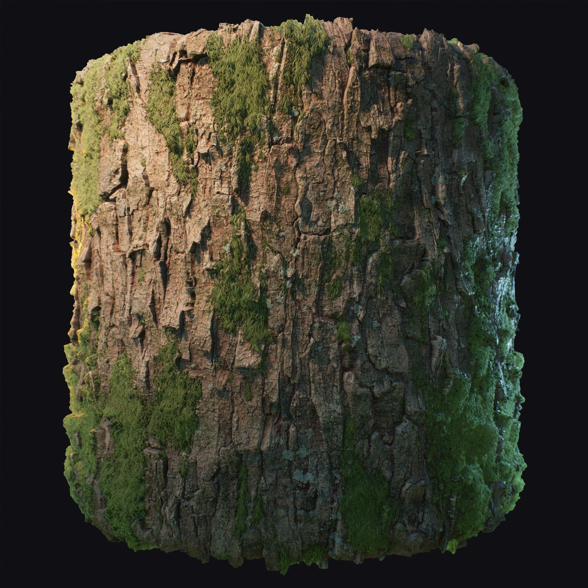 ArtStation - Substance Study - Mossy Bark