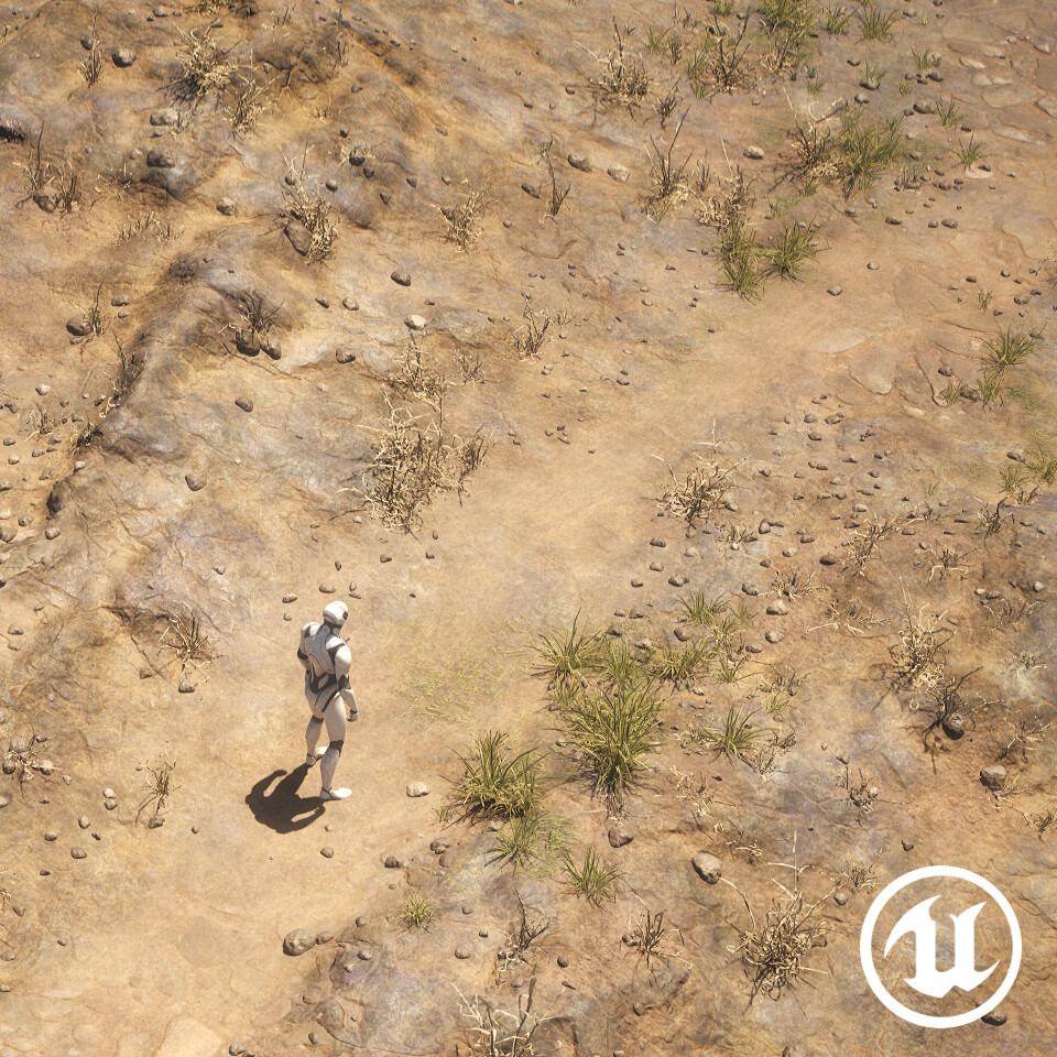 ArtStation - Procedural ARPG Style Environment