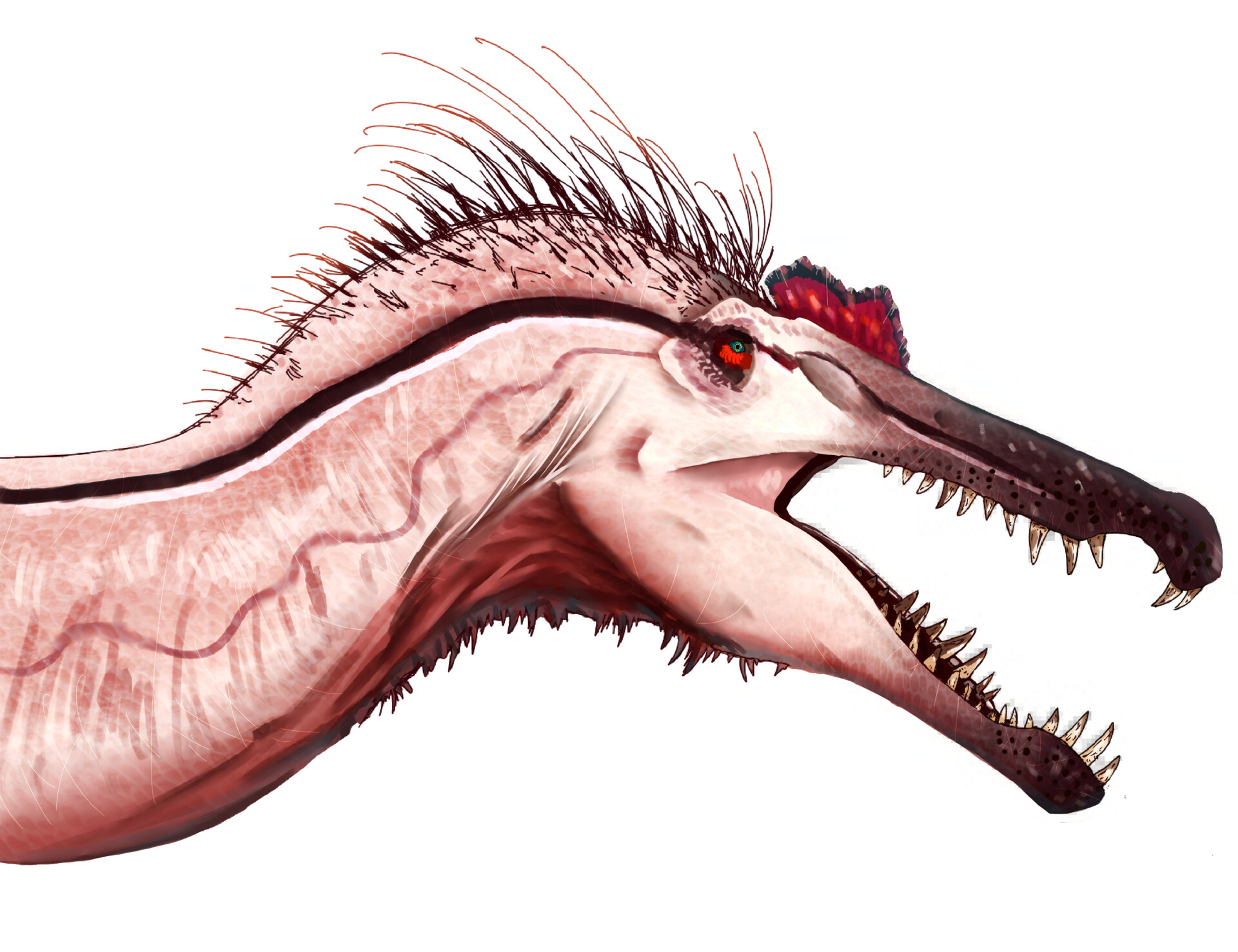 ArtStation - Spinosaurus Colour Study