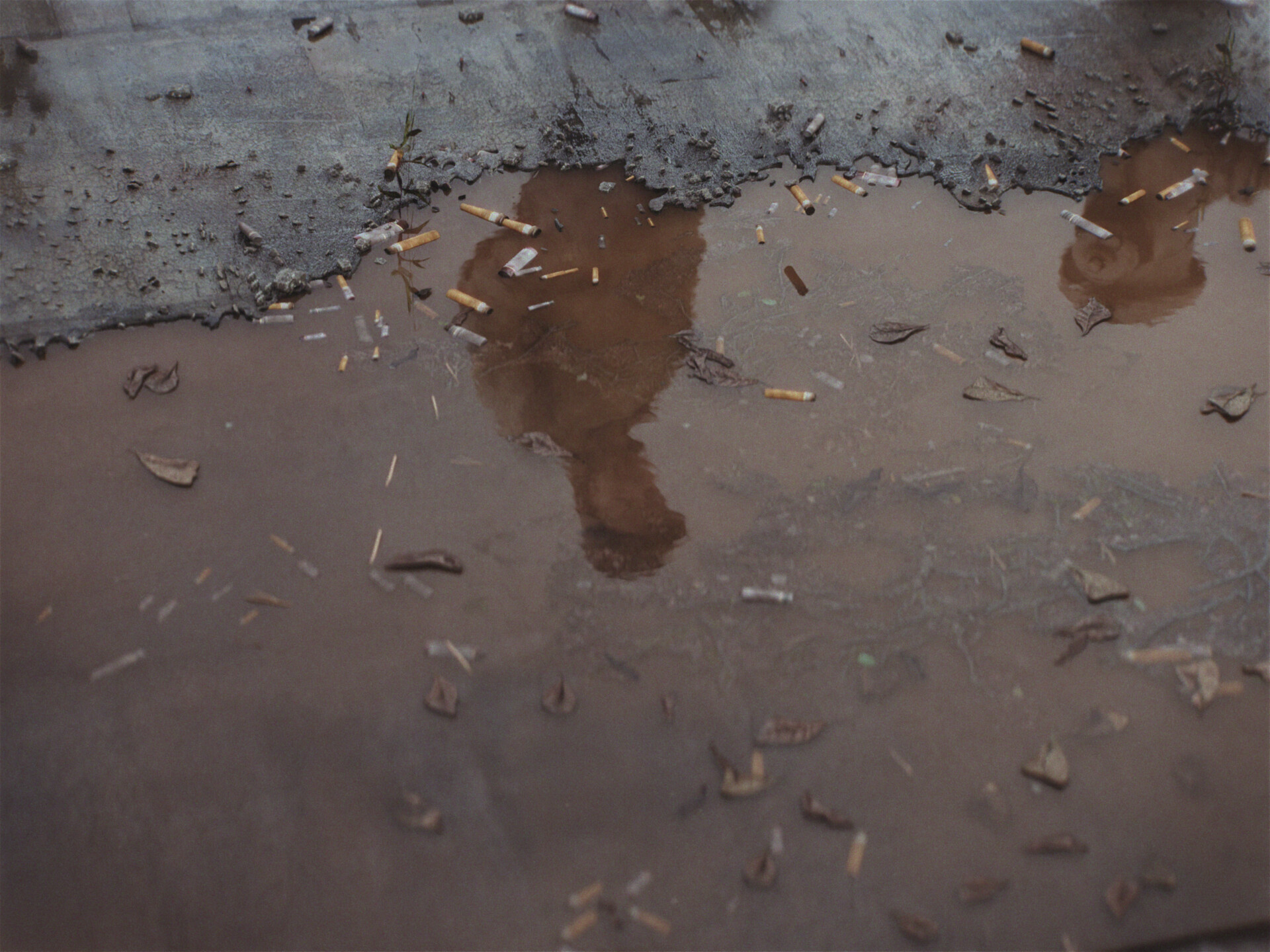 ArtStation - Photorealistic CGI Puddle, Made with Blender